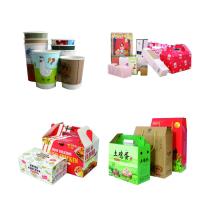 China Corrugated Single Pass Digital Printing Machine ODM For Precise Paper Bag for sale