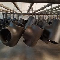 China Package Pallets sch40 astm wpb a234 for seamless installation for sale