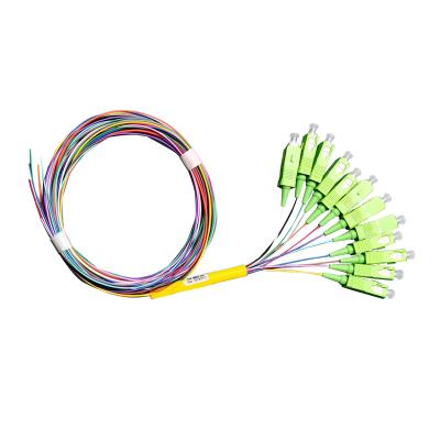 China 12 Core Pigtail SC APC , OD 0.9mm 1550nm Single Mode Fiber Pigtails for sale
