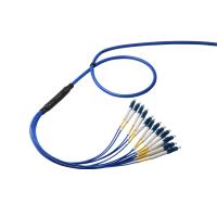 China 12 Core LC UPC MTP Fanout Cord , 1310nm ISO9001 Optical Breakout Cord for sale
