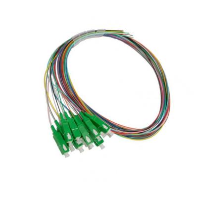 China 12FO Fiber Pigtail Connector 0.9mm G652D G655 G657A Ceramic Ferrule SC APC for sale