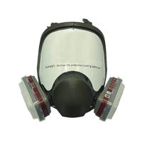 China papr MJ-4006 EN136-Certified KN95 Filter Gas Mask Anti Dust For Construction Mining Chemical Painting Safety for sale