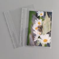 China ODM Loose Leaf Card Collection Binder Mushroom Hole Dustproof for sale