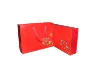China Recyclable Paper Poly Bag Plastic Biodegradable Print Handbag for sale