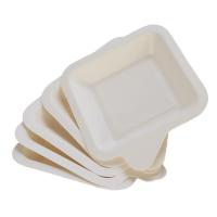 China Fruit Molded Pulp Tray Lightweight Moluded Paper Pulp Recyclable for sale
