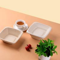 China Reusable Custom Molded Pulp Packaging Printing Food Packing Box for sale