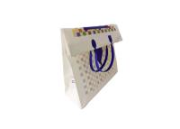 China HDPE Custom Promotional Plastic Bags Rainproof And Recyclable for sale
