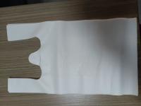 China Custom Printed Biodegradable Compostable Eco Friendly Shopping Bag With Customized Logo And Design for sale
