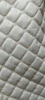 China Quilting with Nylon Taslon for coating bed sheets Printed desings for fashion women dressing Static-free Antipilings for sale