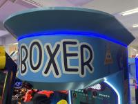 China New Design Amusement Park Punching Coin-operated Interactive Sports Children's Boxing Game Machine for sale