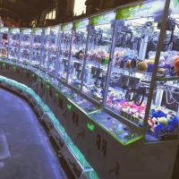 China New Design Amusement Vending Machine Crane Toy Two Claw Machine for sale