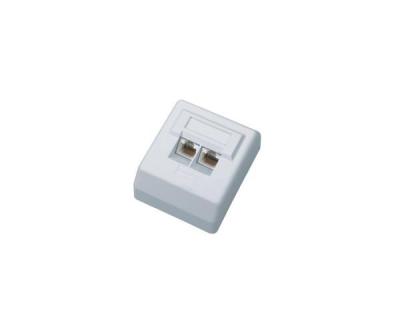 China Face Plate With Dual UTP Cat.5E Jack for sale
