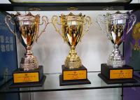 China Custom Made Metal Trophy Cup , Sports Match Award Cups Trophies for sale