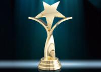 China Custom Made Metal Star Trophy , Zinc Alloy Enterprise Workers Souvenirs for sale