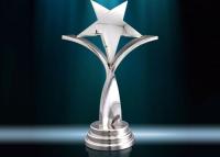 China Custom Made Metal Star Trophy , Zinc Alloy Enterprise Workers Souvenirs for sale