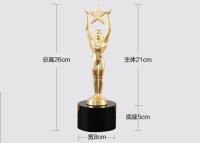 China 260mm Height Custom Metal Trophies , Sports Competition Custom Trophy Awards for sale