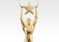 China 260mm Height Custom Metal Trophies , Sports Competition Custom Trophy Awards for sale