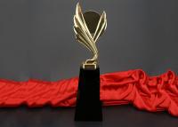 China Globe Metal Trophy Cup / Event Souvenirs With Black Crystal Base for sale