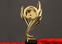 China Globe Metal Trophy Cup / Event Souvenirs With Black Crystal Base for sale