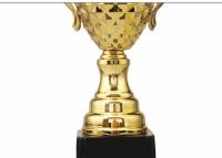 China Bowl Shape Metal Trophy Cup , Company Celebration Custom Trophy Awards for sale
