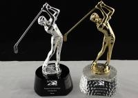 China Gold / Silver Color Golf Trophy Cup For Net Champion And Net Second Reward for sale