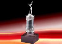 China Gross Champion / Second / Third Reward Cup Golf Trophies For Talented Golfers for sale