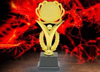 China Custom Plastic Trophy Cup Blank Plate Type For Sports Champions Awards for sale