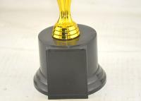 China 270mm Height figure Award Trophy Plastic Material Made With Blank Base for sale