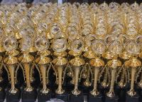 China Sportsman Awarding Plastic Award Cups Trophies , Gold Plated Sports Cup Trophy for sale
