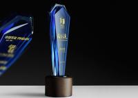 China Sandblasting / Lasering Logo Glass And Crystal Trophies , Personalised Glass Awards for sale