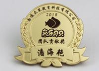 China Custom Graduation Engraved Medals Awards Pin Type For Teachers / Soldiers for sale