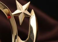 China Zinc Alloy Custom Trophy Cup 3D Laser Black Crystal Base With Star On The Top for sale