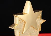 China Gold Silver Bronze Personalized Trophy Cup 330mm Height With 3D Engraved Star for sale
