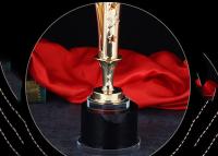 China Crystal Globe Hollowing Out Custom Trophy Awards Polishing Surface With Gift Box for sale