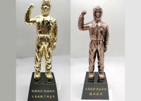 China Disease Resistance Hero zinc alloy 250mm Height Custom Trophy Awards for sale