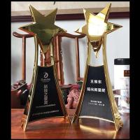China Star Design Custom Medals And Trophies With 3D Printing From Factory Wholesale for sale