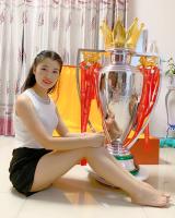 China 390mm Height Premier League Trophy CCC For Football Match for sale