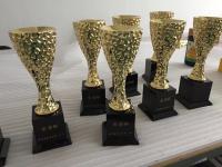 China Cylinder Shape Custom Engraved Trophy Metal Material Three Color With Sample Service for sale