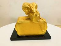China Bags And Cameras Custom Tophy Cup As Souvenirs Or Gifts For Clients for sale