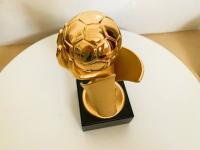 China Handball Custom Engraved Trophy As Prizes For Winners In Hand Ball Game for sale