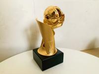 China Handball Custom Engraved Trophy As Prizes For Winners In Hand Ball Game for sale