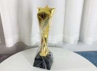 China Competition Awards height 11 inch Resin Trophy Cup WIth Star for sale