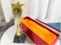 China Competition Awards height 11 inch Resin Trophy Cup WIth Star for sale