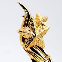 China resin Top Star Award OEM Gold Trophy Cup Customized Logo Texts for sale