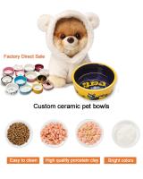 China Custom Ceramic Cat Bowl Anti Vomiting Tilted Raised Feeder 4.5 Inch 6 Inch Sizes for sale