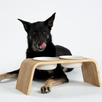 China Custom Elevated Ceramic Dog Bowls Eco Friendly Pet Feeder 5x21.5x8 Inches for sale