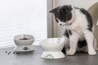 China Ceramic Raised Cat Dog Bowl Anti Tipping Elevated Pet Feeder 13x11.6x9.4cm Black for sale
