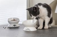 China Ceramic Raised Cat Dog Bowl Anti Tipping Elevated Pet Feeder 13x11.6x9.4cm Black for sale