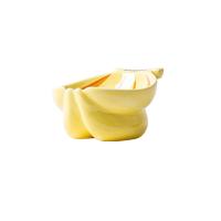 China Anti Overturning Raised Ceramic Cat Bowl Rounded Shape 350ml Pet Feeder for sale
