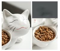 China 2L Water Capacity Ceramic Pet Bowl Automatic Multifunctional for sale